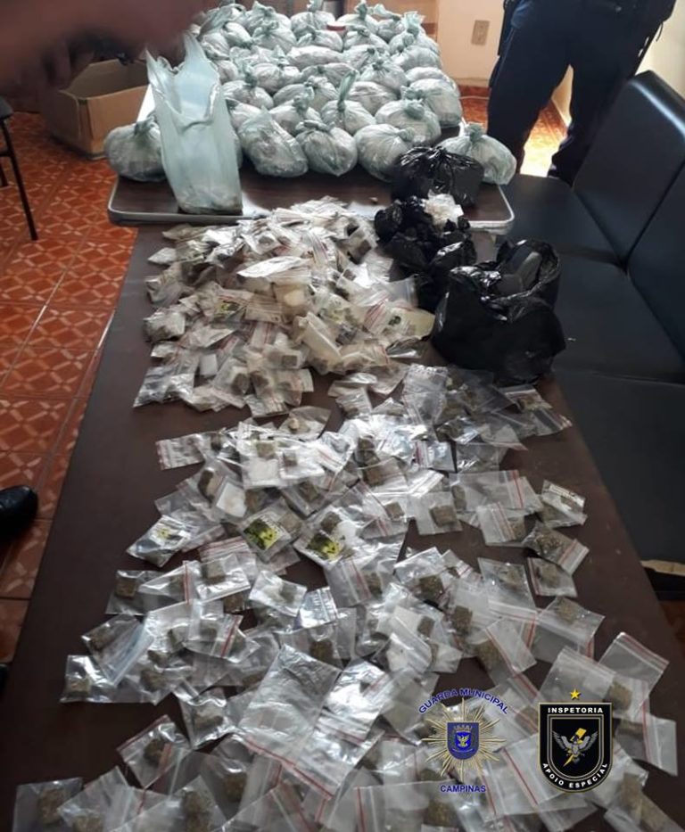 Com ajuda do cão Faísca, guarda localiza 7,7 mil porções de drogas em ...