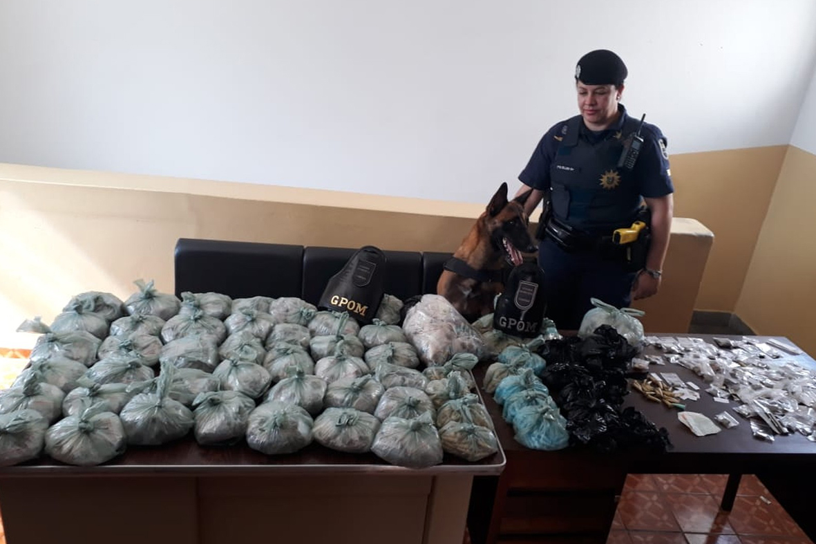 Com ajuda do cão Faísca, guarda localiza 7,7 mil porções de drogas em ...