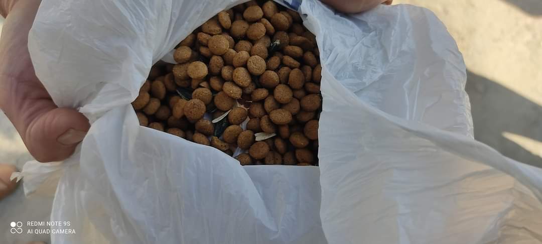 Animais são atraídos por comida e envenenados com chumbinho na Vila ...