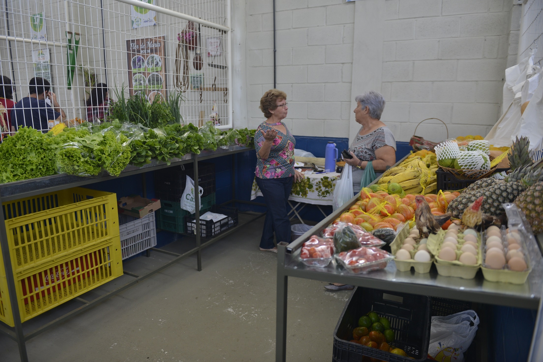 Expositores comemoram 4º aniversário do Ponto Verde com sorteio e show ...